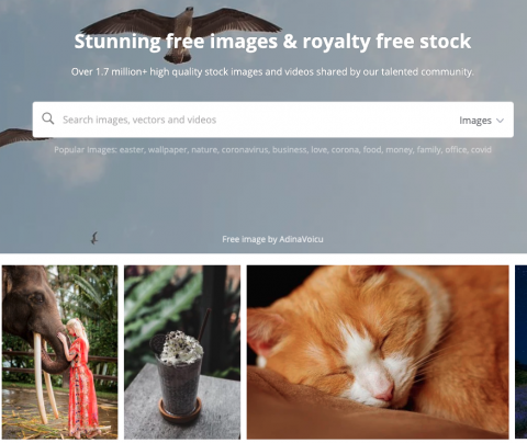 Pixabay – Royalty-free photos and images | Ed Tech Framework
