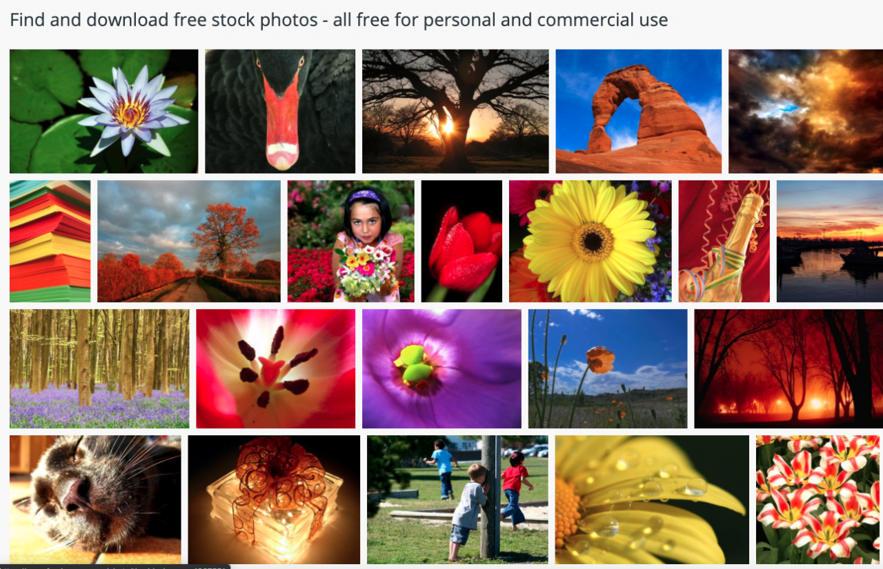 Free Images – Royalty-free photos and images | Ed Tech Framework